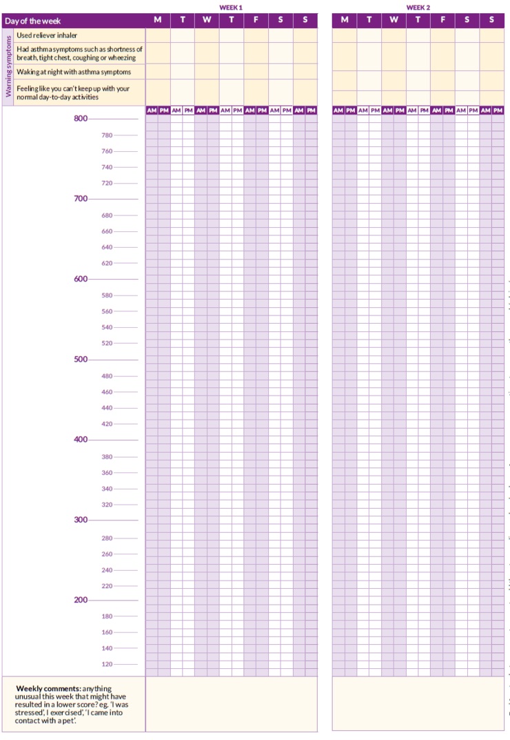 peak flow diary - asthma management : 네이버 블로그