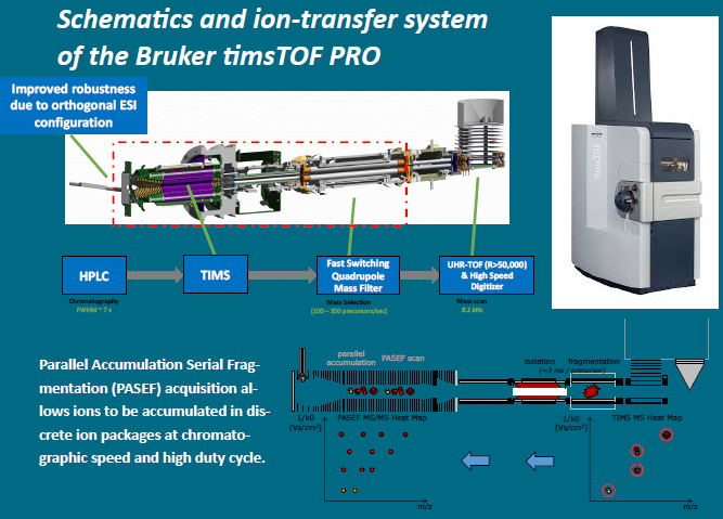 [Bruker Q-TOF] timsTOF Pro - PASEF의 PTM (posttranslational modifications) 분석 결과를 확인하세요! : 네이버 블로그