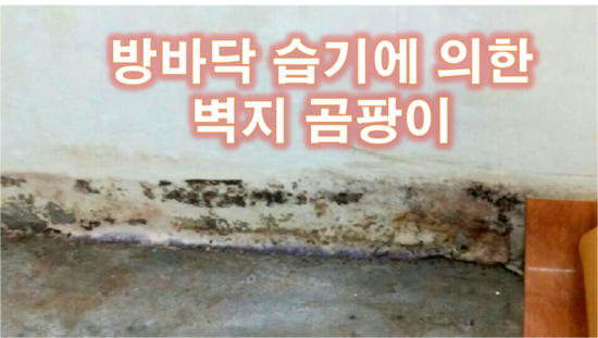 방바닥 습기 차단 완벽한 해결 방법 총정리 1탄 방바닥습기 방바닥 곰팡이 방바닥 결로 원인과 해결 방안에 대하여