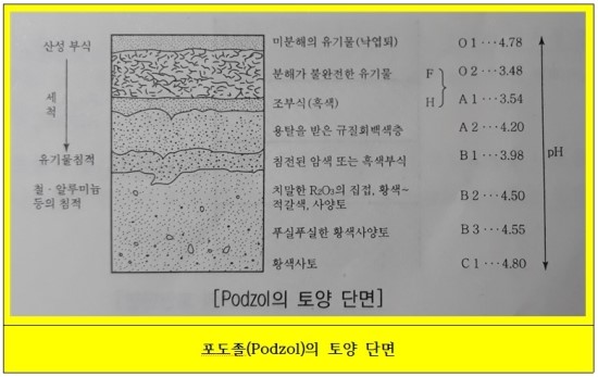 문6. 회색화작용(Gleization). 토양생성작용, 土壤生成作用 , soil formation : 네이버 블로그