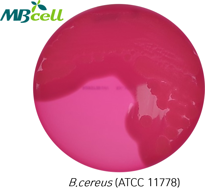 MYP (Mannitol Egg Yolk Polymyxin) Agar : MB-M1390 : 네이버 블로그