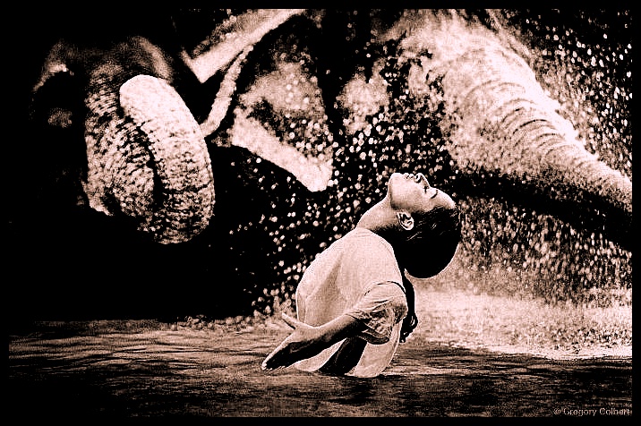 인생에 대하여 / 칼릴 지브란 : 네이버 블로그