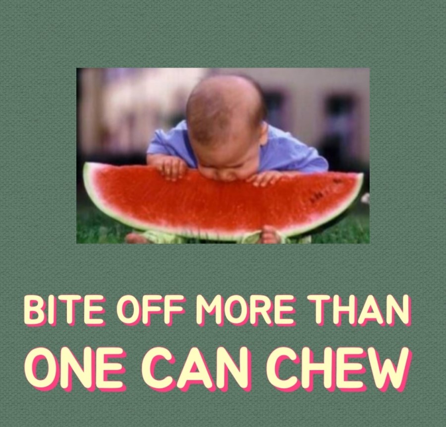 BITE OFF MORE THAN ONE CAN CHEW(영어로 "배보다 배꼽이 더 크다") : 네이버 블로그