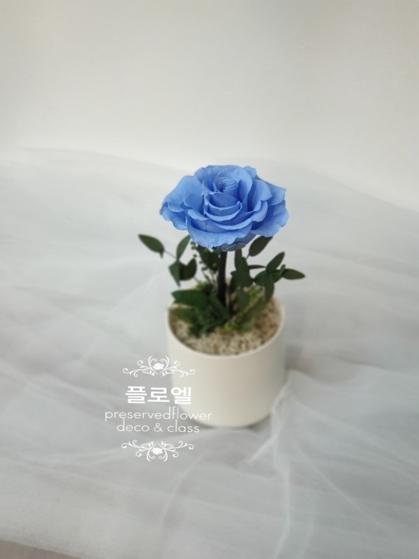 플로엘 대전프리저브드플라워 플로리스트 전문가 자격증수업 프리저브드플라워교육 네이버 블로그