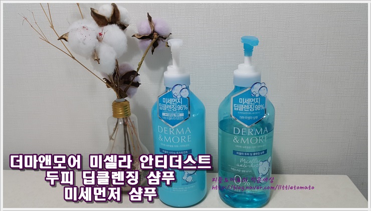더마앤모어 미셀라 안티더스트 샴푸and트리트먼트 미세먼지 제거에 좋은 두피딥클렌징 샴푸 네이버 블로그