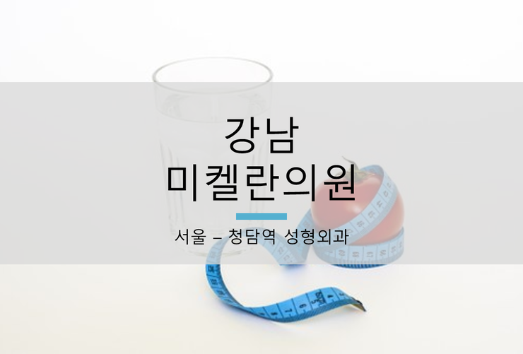 서울 청담역 청담동 강남미켈란의원 원장 이재성 성형외과 네이버 블로그