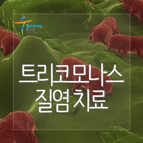 트리코모나스 질염 증상 및 치료 방법 역삼역산부인과 네이버 블로그