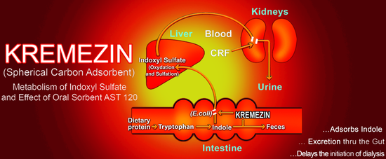 강아지, 고양이 만성 신부전 보조제 4탄 [크레메진, 레나메진, Kremezin] : 네이버 블로그