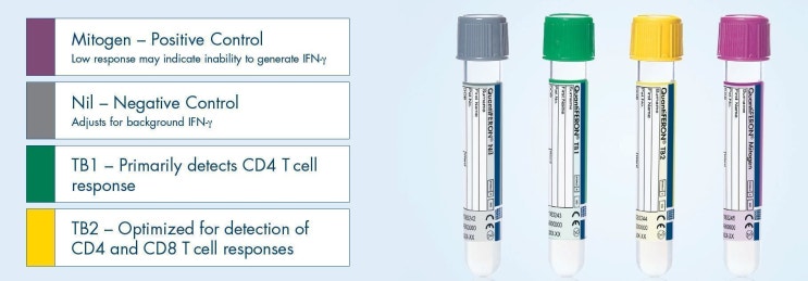 잠복결핵, QuantiFERON-TB 인터페론감마 분비검사(IGRA) : 네이버 블로그