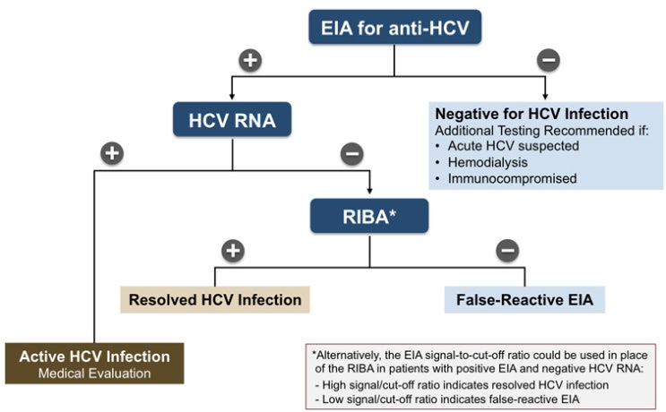 C형간염바이러스(HCV), 만성C형간염 혈청학적 진단과 치료 : 네이버 블로그