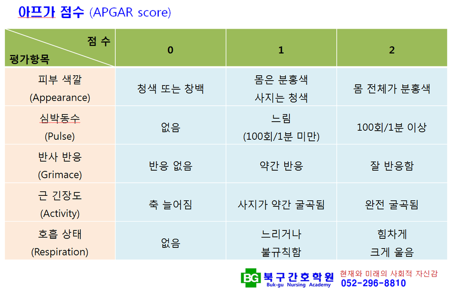 아프가 점수 APGER score : 네이버 블로그