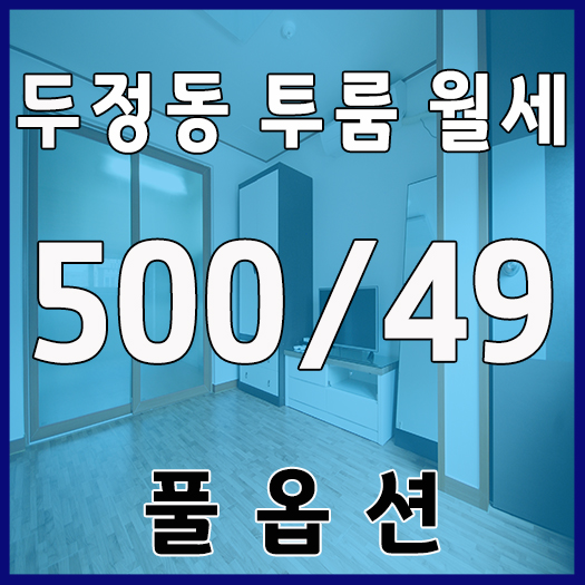 천안투룸 천안 두정동 풀옵션 투룸 월세 두정동 현대자동차 사거리두정중학교 부근에 위치한 신축급 풀옵션 투룸 월세 입니다