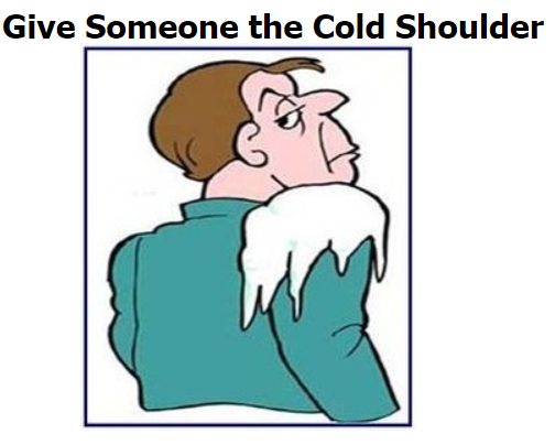쌀쌀맞게대하다 영어로? 못 본 척하다 영어로? give someone the cold shoulder : 네이버 블로그