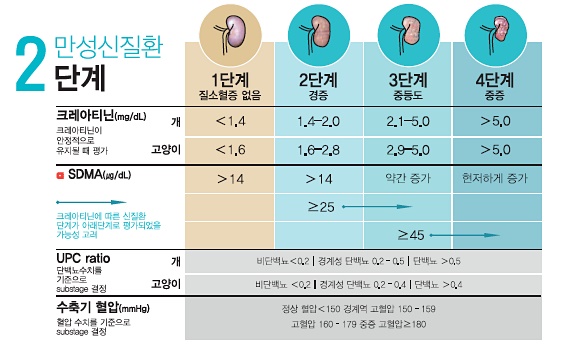 강아지 신부전 단계 IRIS stage : 네이버 블로그