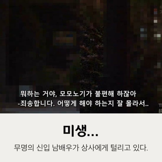 [World]논란의 중심이었던 어느 일본 AV에 대한 이야기 (IPZ-855) : 네이버 블로그