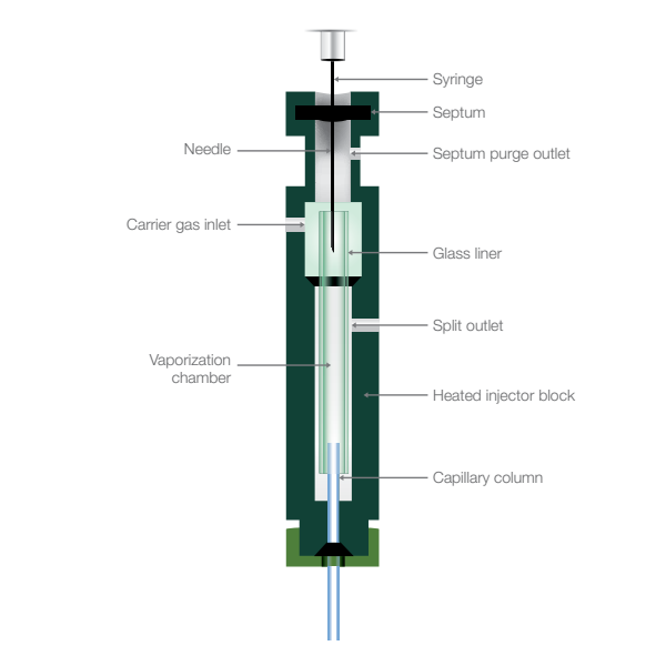 Standard Injection : 네이버 블로그