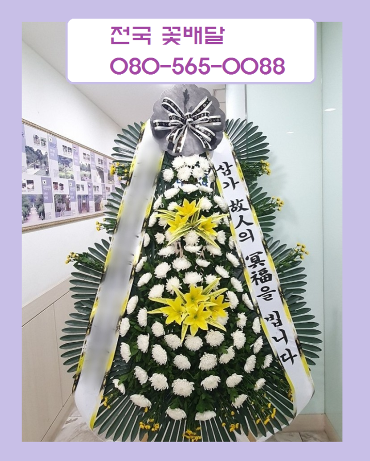 전국꽃배달 모악장례문화원 대한장례식장 대송장례식장 네이버 블로그