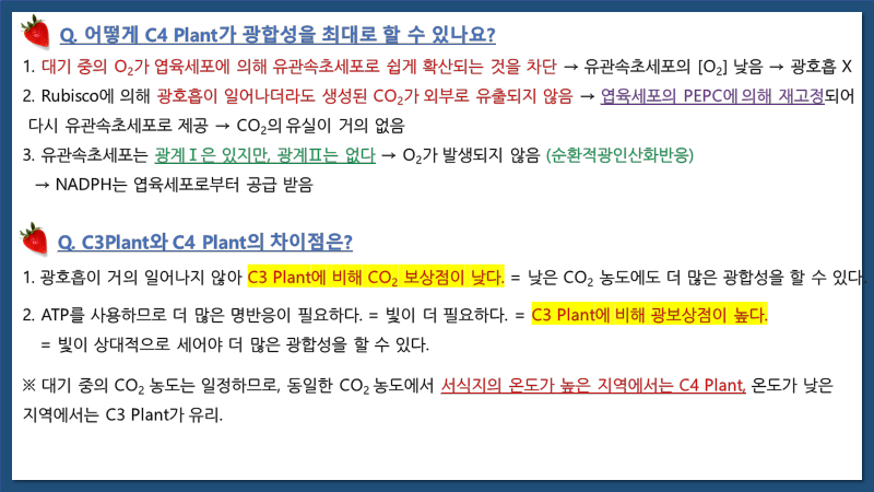 C4 식물(C4 Plant) : 네이버 블로그