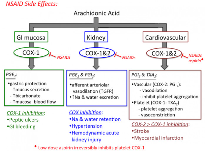 당직 일기 0312: NSAIDs VS Acetaminophen - fever/ pain control (1) : 네이버 블로그