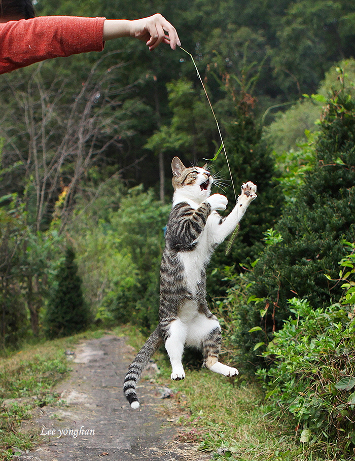 최고의 낚시 장난감 : 네이버 블로그