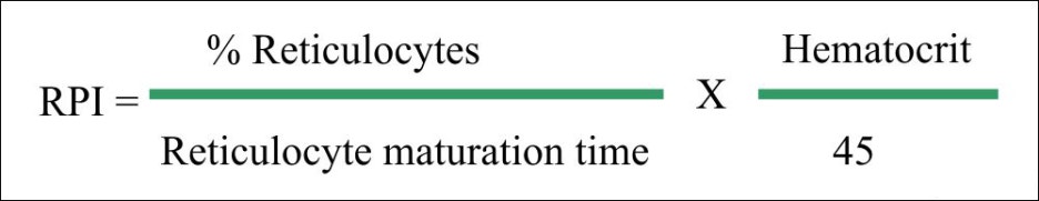 망상적혈구 관련 검사 (Reticulocyte Parameters) : 네이버 블로그