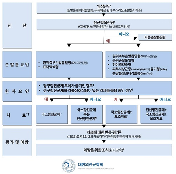 발톱무좀치료 주블리아 약과 연고치료에 대해서 Feat 레이저 네이버 블로그
