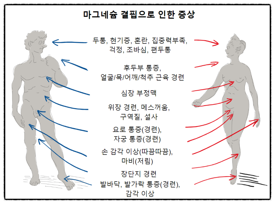 젠빅 플러스 근육경련 손발저림 눈떨림 마그네슘영양제종근당 혈액순환제 네이버 블로그