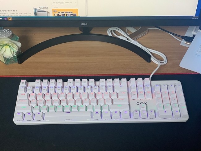 기계식 키보드 COX CK420 레인보우 갈축 사용기 : 네이버 블로그