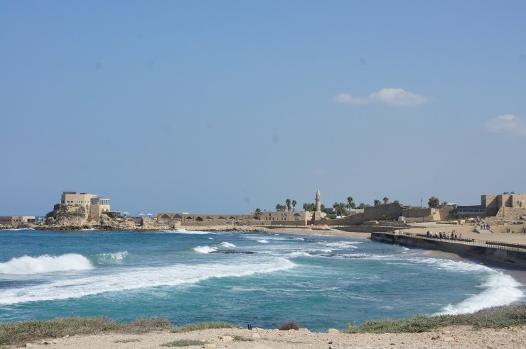 가이샤라 : 네이버 블로그