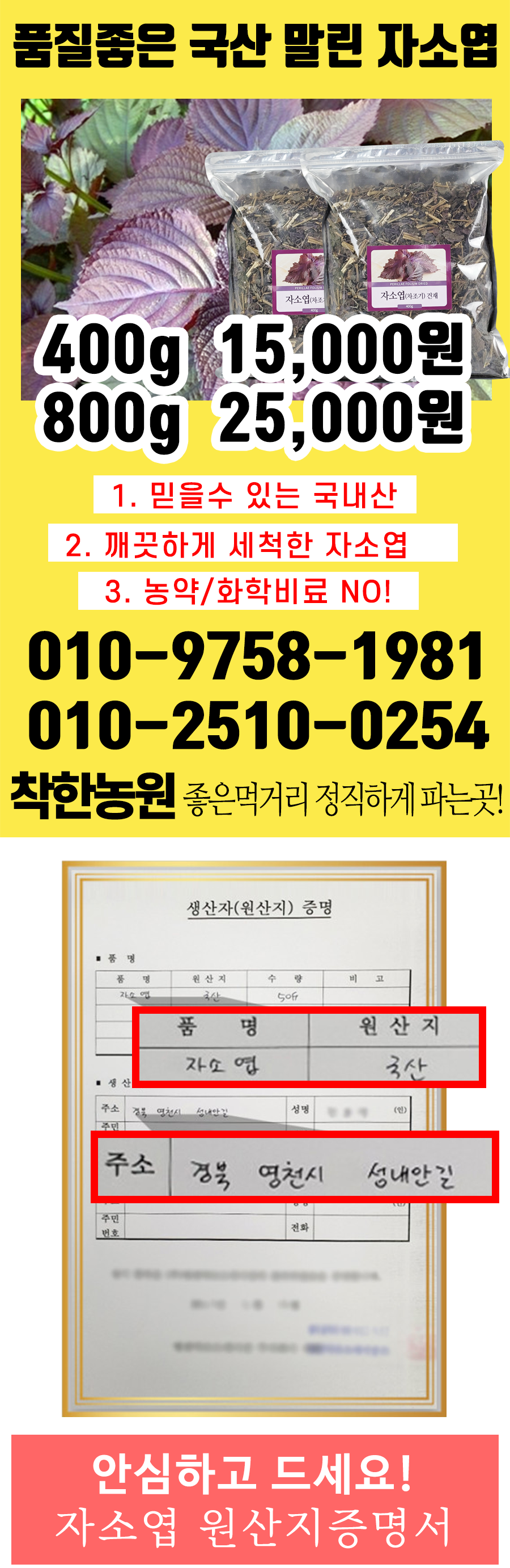 자소엽 효능과 부작용 차조기 잎 먹는법까지 네이버 블로그