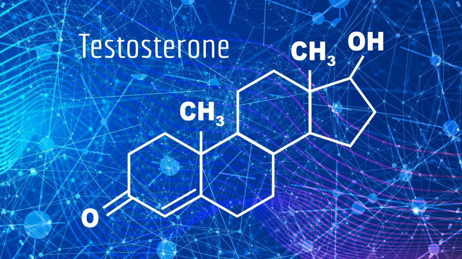 테스토스테론(Testosterone) 관련검사 Q&A : 네이버 블로그