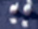 펜타민 (pentaminum)마약성 식욕억제제 치명적인 부작용 : 네이버 블로그
