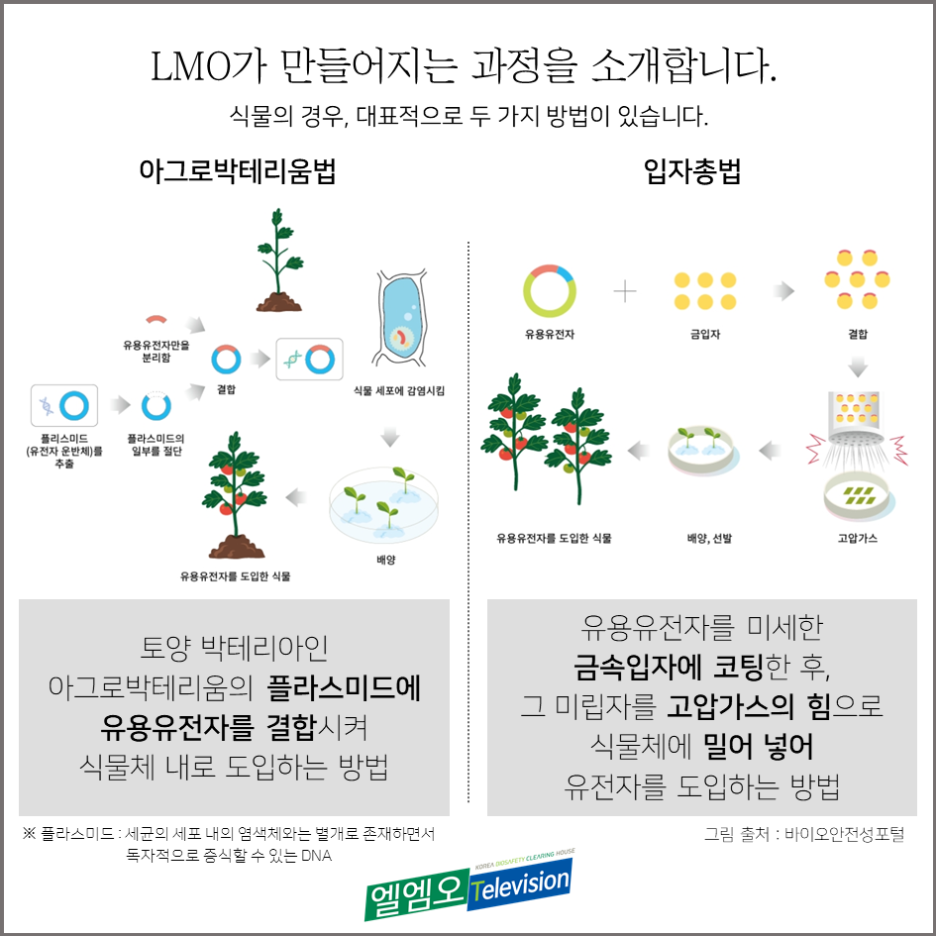 [#2] LMO 어떻게 개발하나요? : 네이버 블로그