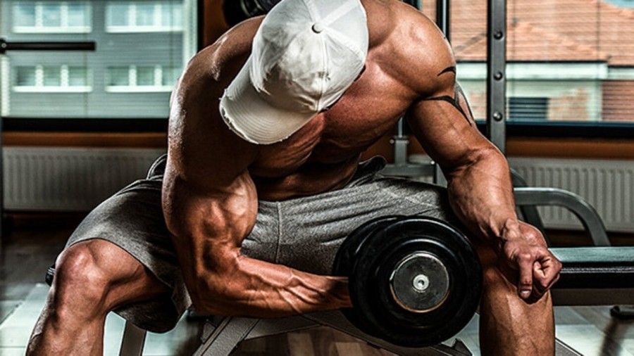 위팔두갈래근 상완이두근 Biceps Brachii의 장두 단두 긴갈래 짧은갈래의 분할운동 네이버 블로그