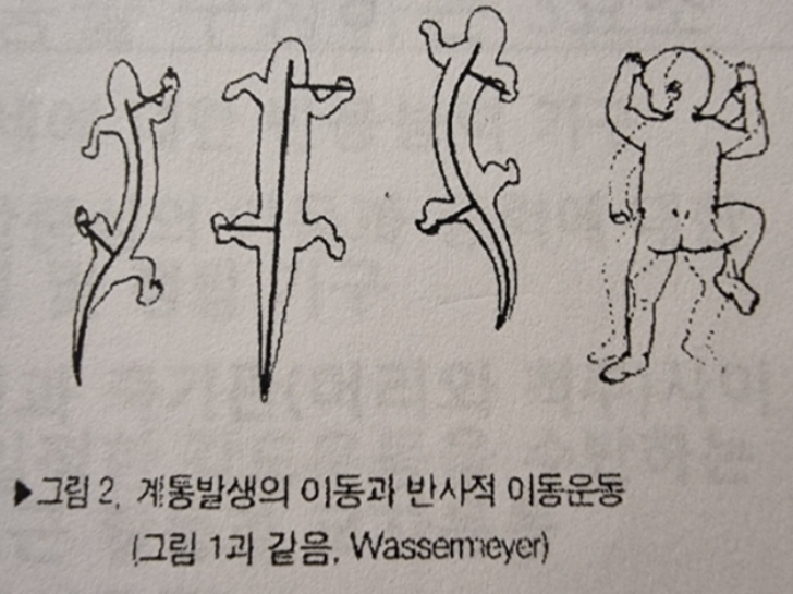 보이타 치료 반응(반사적 이동 reflex lokomotion)에 대한 고찰 : 네이버 블로그