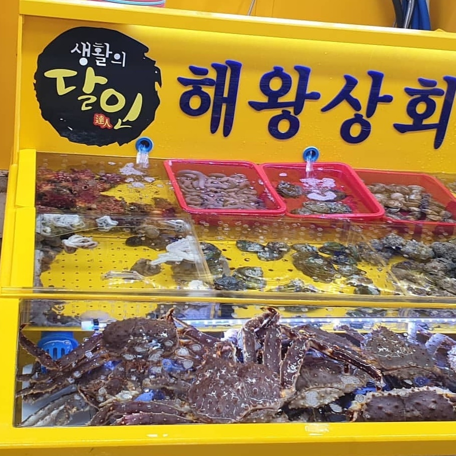 부산 자갈치시장 맛집 해왕상회 여기가 딱이야 네이버 블로그