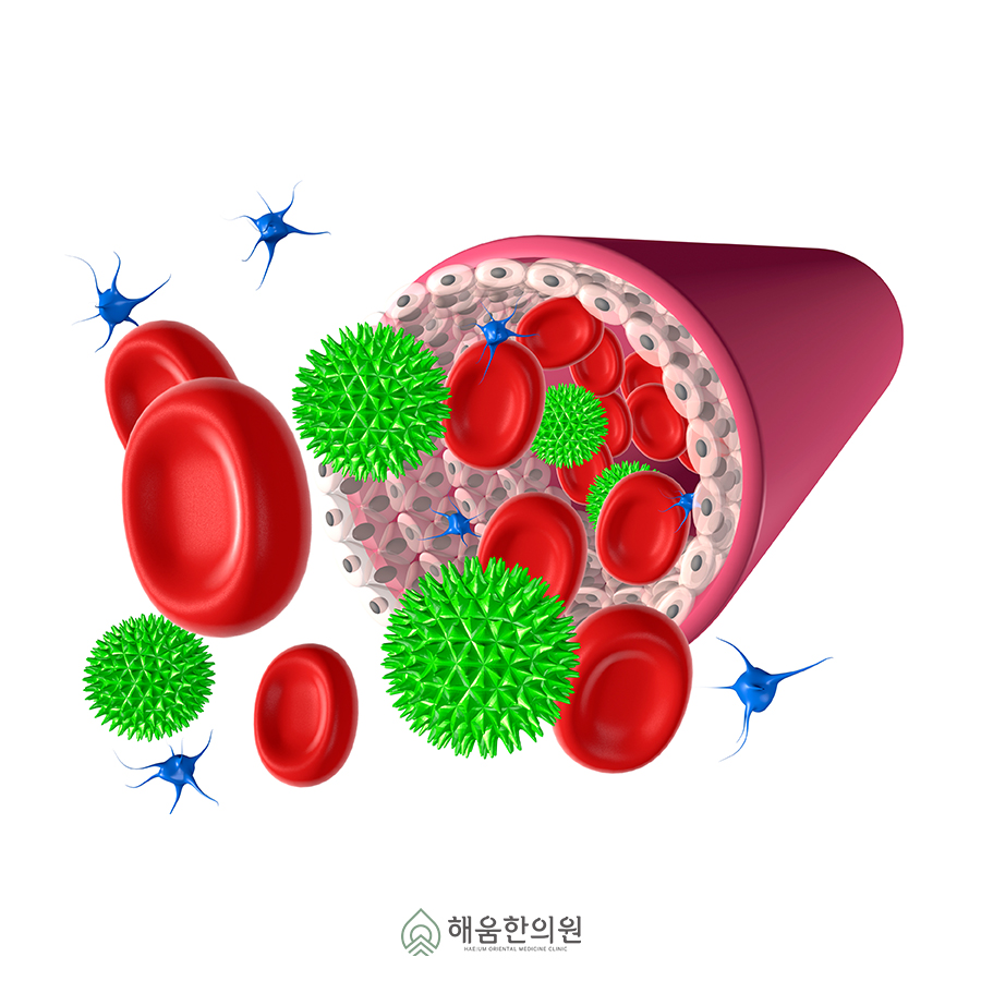 백혈구 수치 낮으면 정상수치와 높이는 방법은 네이버 블로그