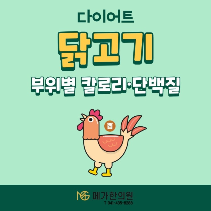 닭고기 부위별 칼로리 닭고기 부위별 단백질 닭고기 부위별 효능 논산다이어트 메가한의원 네이버 블로그