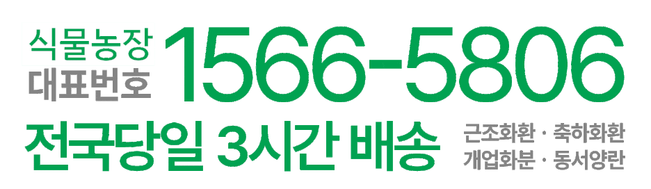 종교별 불교 천주교 기독교 근조화환문구 뜻과 장례식 화환문구 정리해드립니다 네이버 블로그