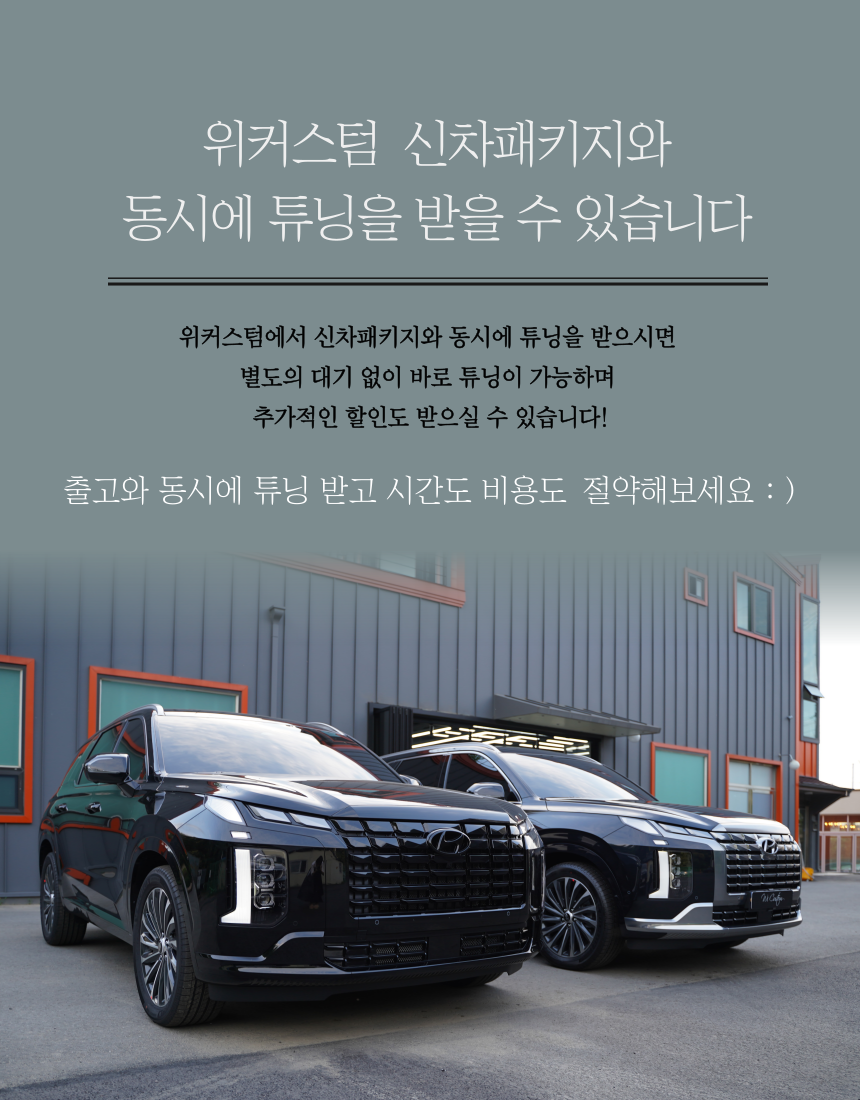 팰리세이드 블랙팩 튜닝 랩핑 말고 도장으로 받길 잘했네요 네이버 블로그