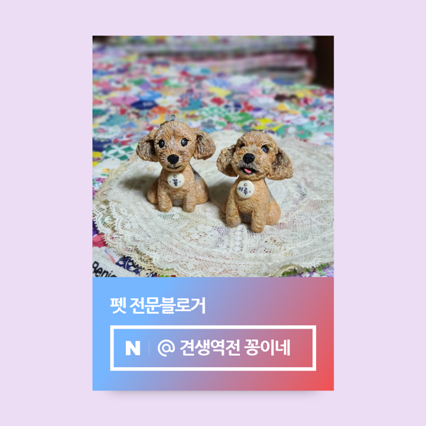 핸드메이드 강아지옷 만들기애견 여름옷으로 좋은 가디건 원피스 Ft도안 패턴 네이버 블로그