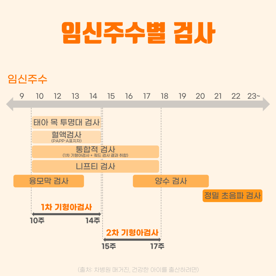 태아보험 가입시기 언제 가입하는 것이 좋을까요 네이버 블로그