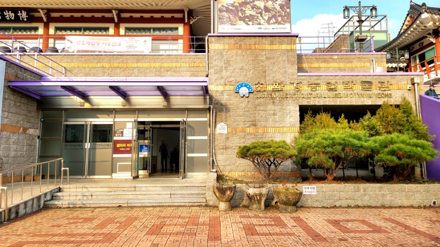 양평 용문여행 코스 가볼 만한 곳 총정리양평양떼목장추억의 청춘뮤지엄용문사민물고기생태학습관 등 네이버 블로그