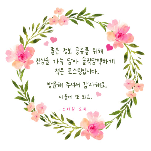 워드마스터 중등 베이직 초등 고학년도 문제없는 영단어 교과서 필수 800단어 네이버 블로그