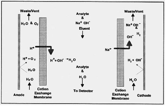 이온 크로마토 그래피..^^ : 네이버 블로그