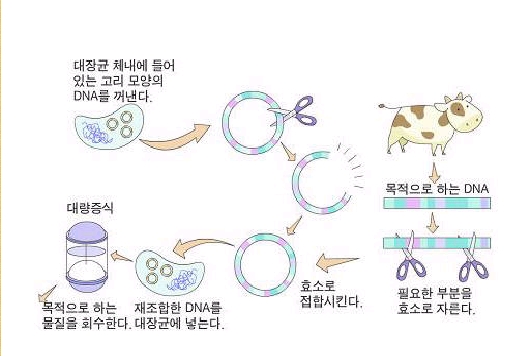 중1 필기자료 미래의 기술기술의 발달과 미래 생명기술과 재배 네이버 블로그