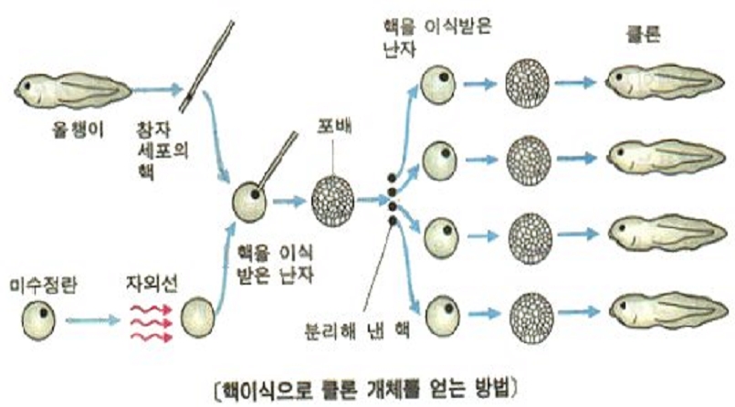 중1 필기자료 미래의 기술기술의 발달과 미래 생명기술과 재배 네이버 블로그