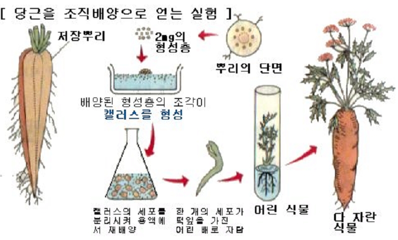 중1 필기자료 미래의 기술기술의 발달과 미래 생명기술과 재배 네이버 블로그